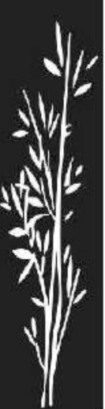 cnc branch with leaves jali svg/dxf file – Makerbhawan